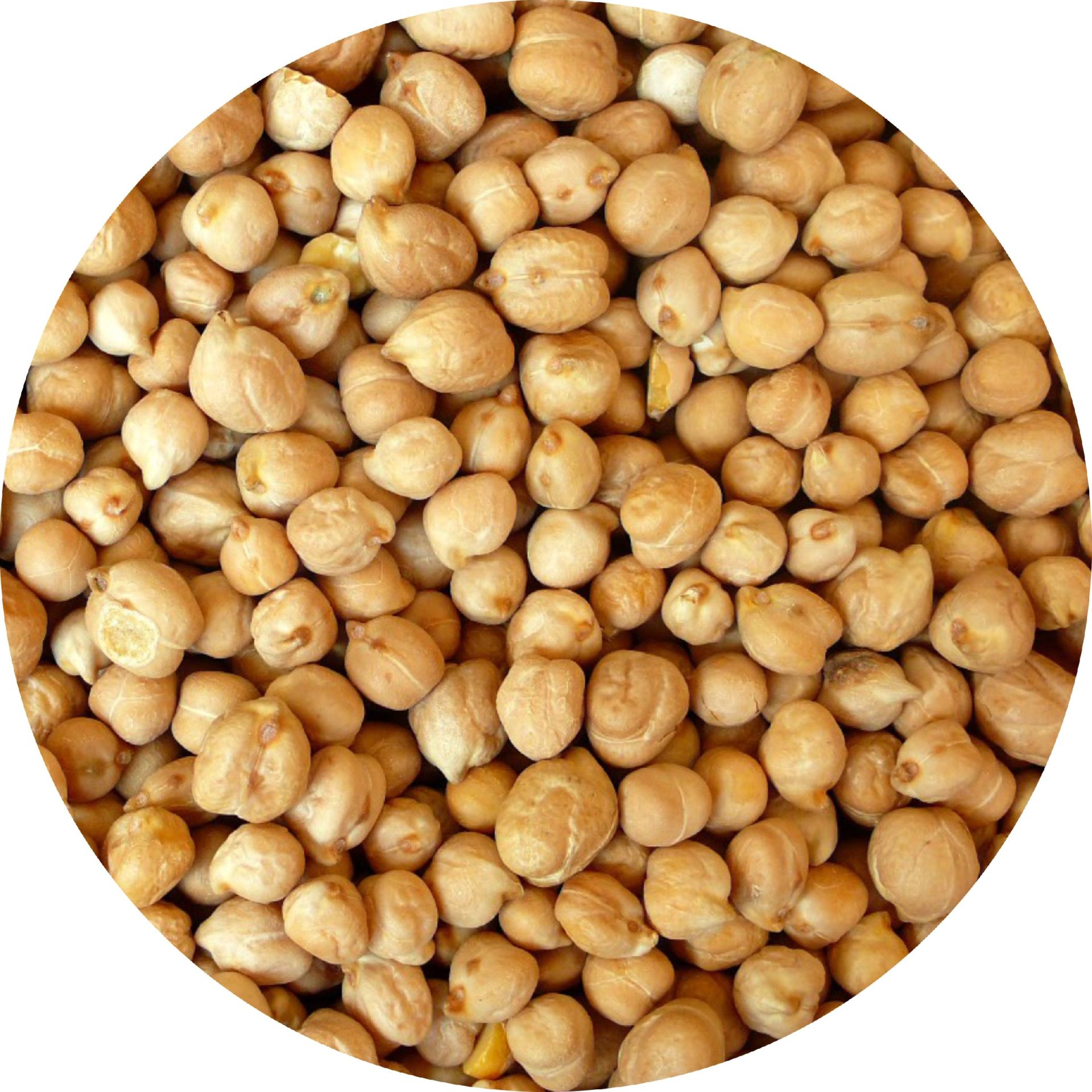 Gastro Cizrna - římský hrách Puritas® 5Kg Doy-pack ZIP – Obchodiště.cz