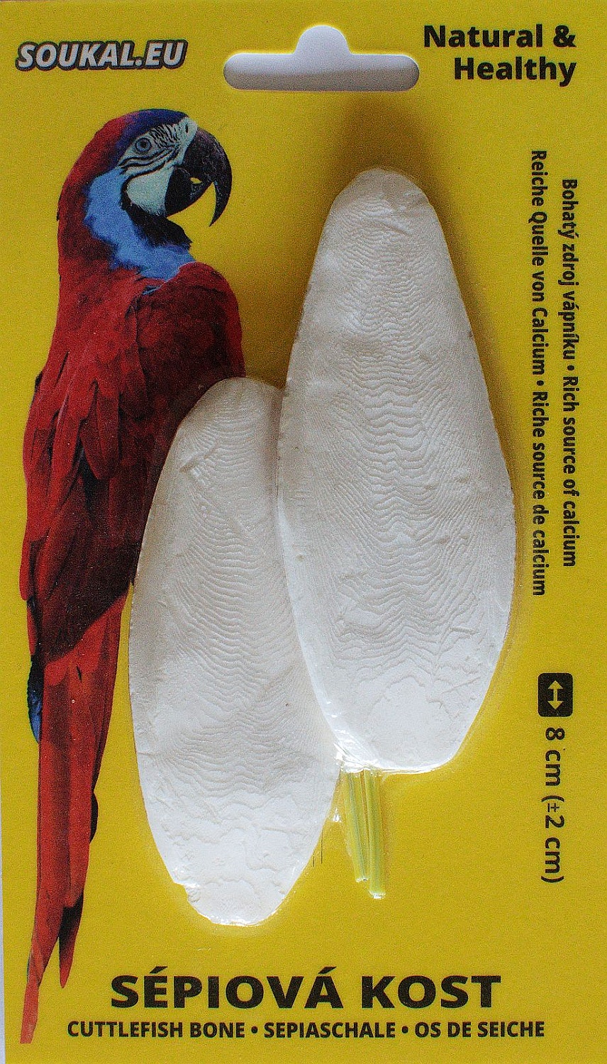 SÉPIOVÁ kost na kartě-cca 8cm-2KS-15364 – Obchodiště.cz