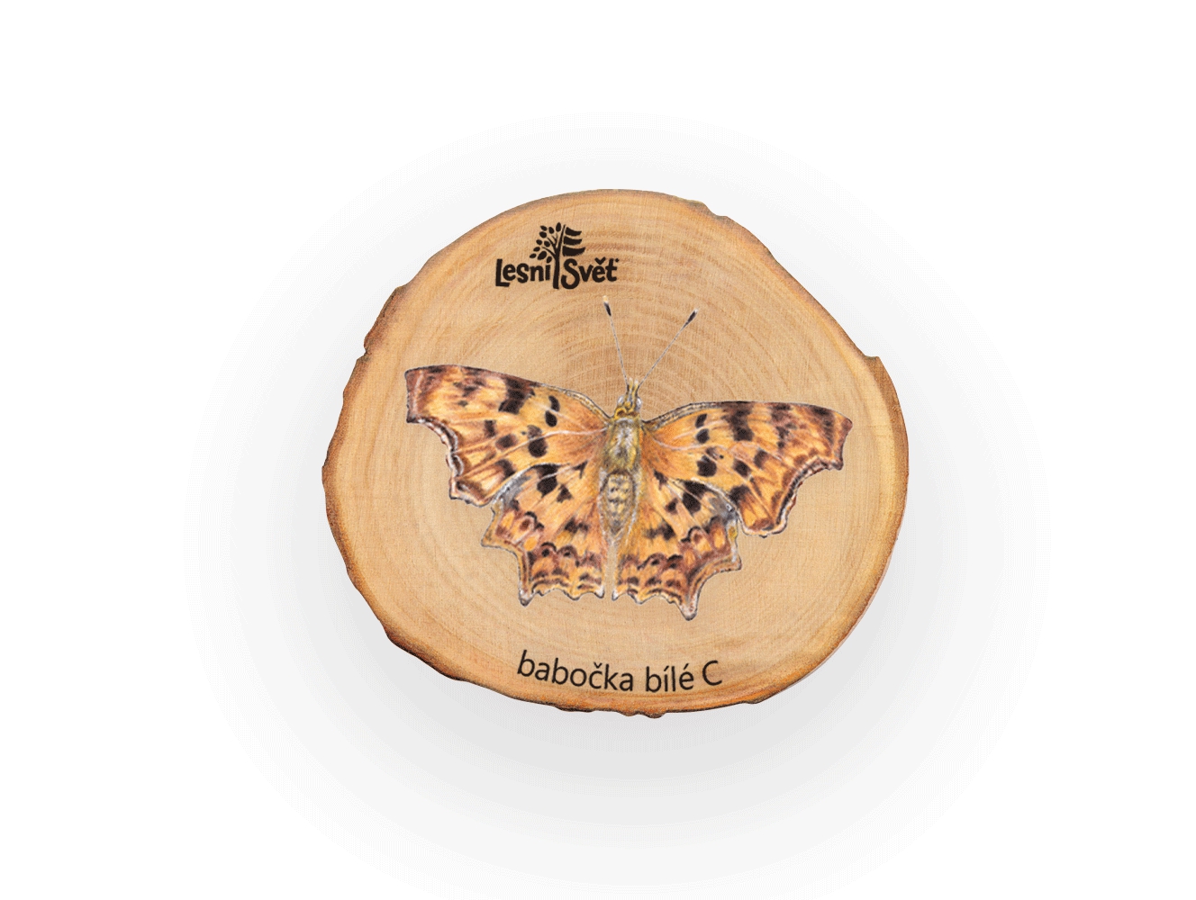 Lesní svět Magnet letokruh - Babočka bílé C – Obchodiště.cz