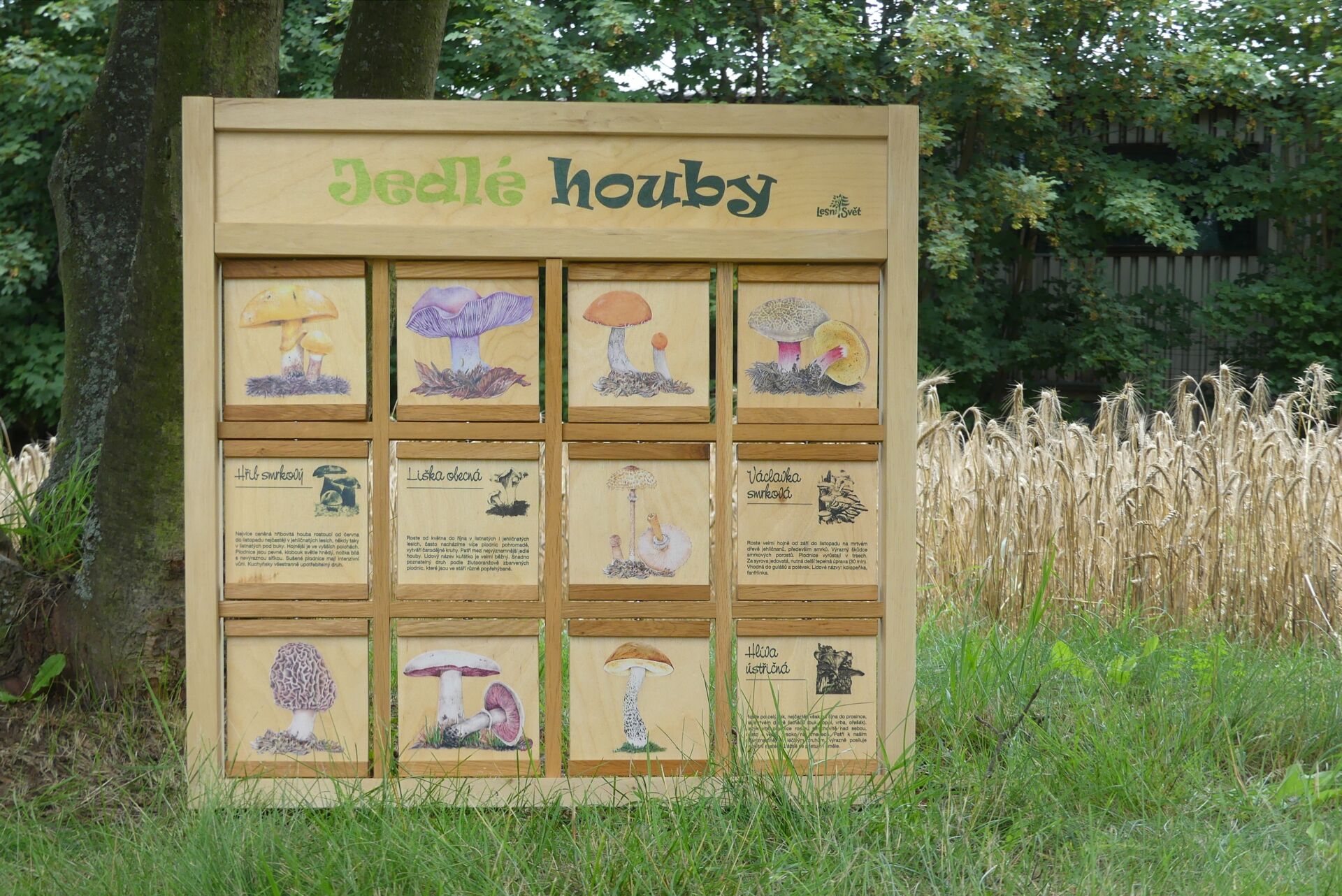 Lesní svět Tabulky poznání stolní - Houby jedlé (loňský design ...