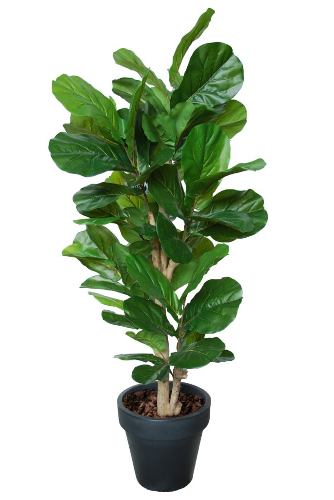 Umělý strom Fikus Lyrata Wild Step Tree – Obchodiště.cz