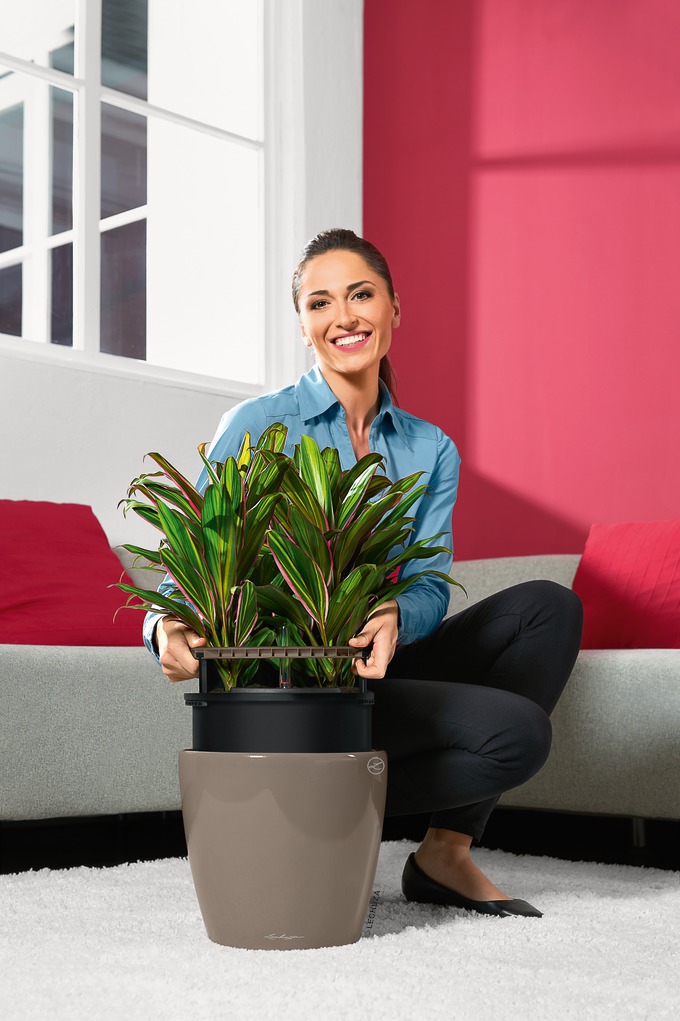 Květináč Lechuza Classico 28 (26cm) – Obchodiště.cz