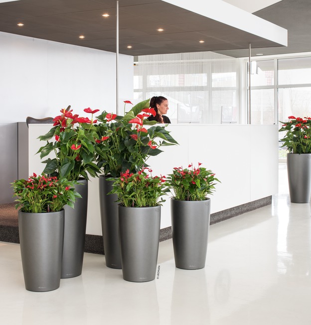 Květináč Lechuza Rondo 32 (56cm) – Obchodiště.cz