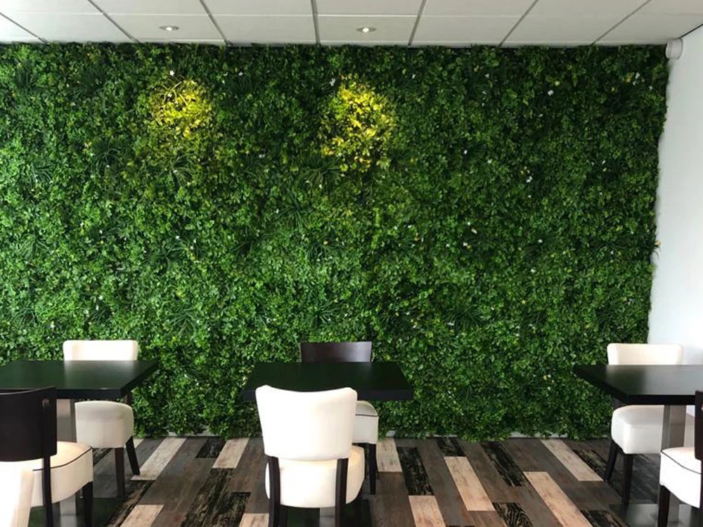 Panel Wall Schefflera (100x100cm) – Obchodiště.cz