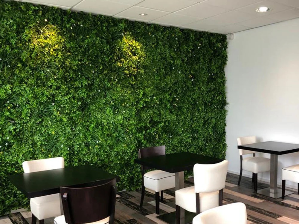 Panel Wall Schefflera (100x100cm) – Obchodiště.cz