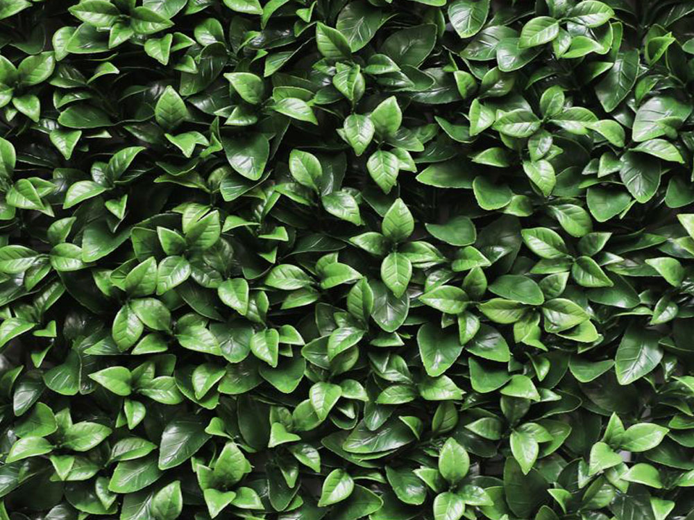 Panel umělý Gardenia (50x50cm) – Obchodiště.cz