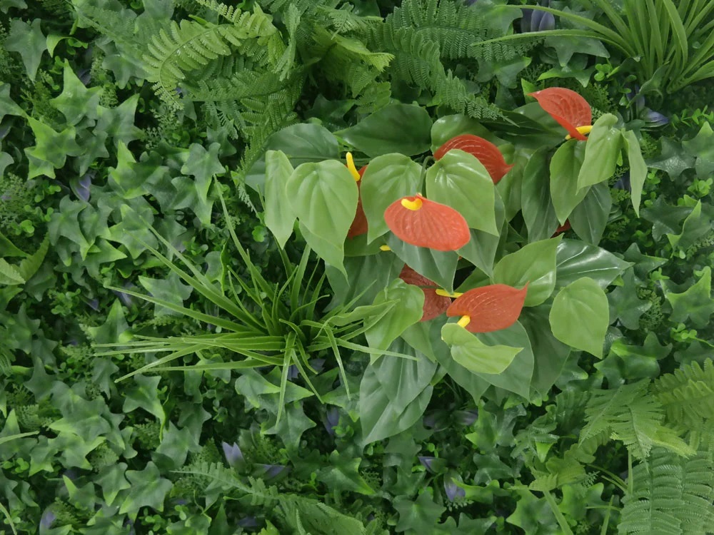 Panel Wall Anthurium (100x100cm) – Obchodiště.cz