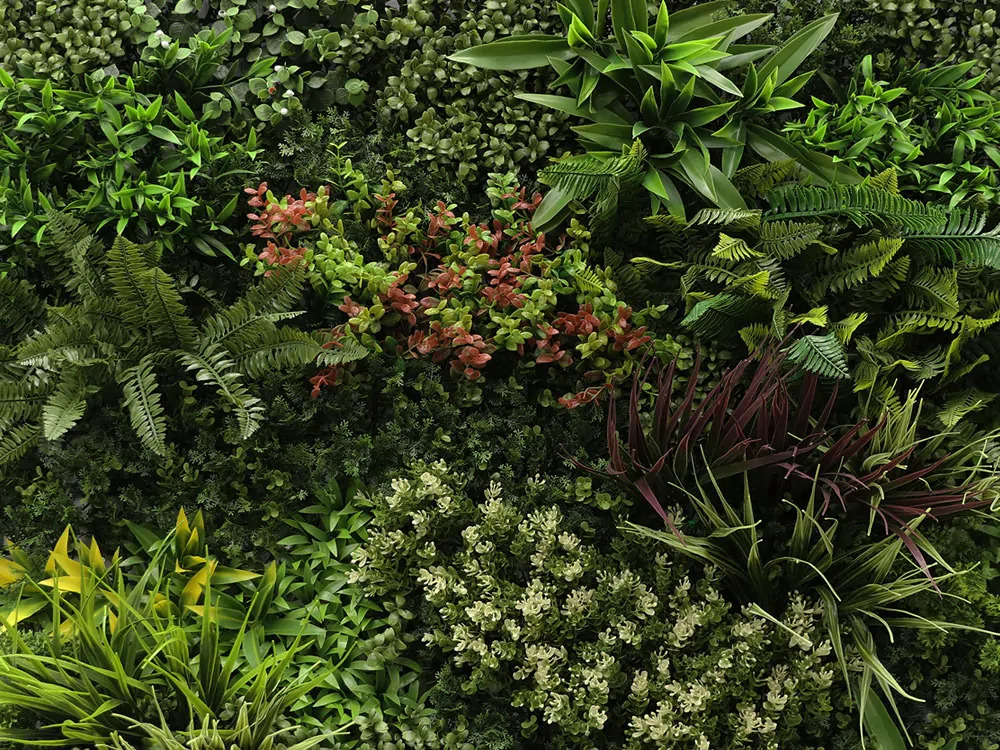 Panel Wall Jungle Color (100x100cm) – Obchodiště.cz