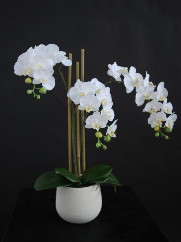 Umělá rostlina Orchidej Phalaenopsis Mini (50cm) - bílá – Obchodiště.cz