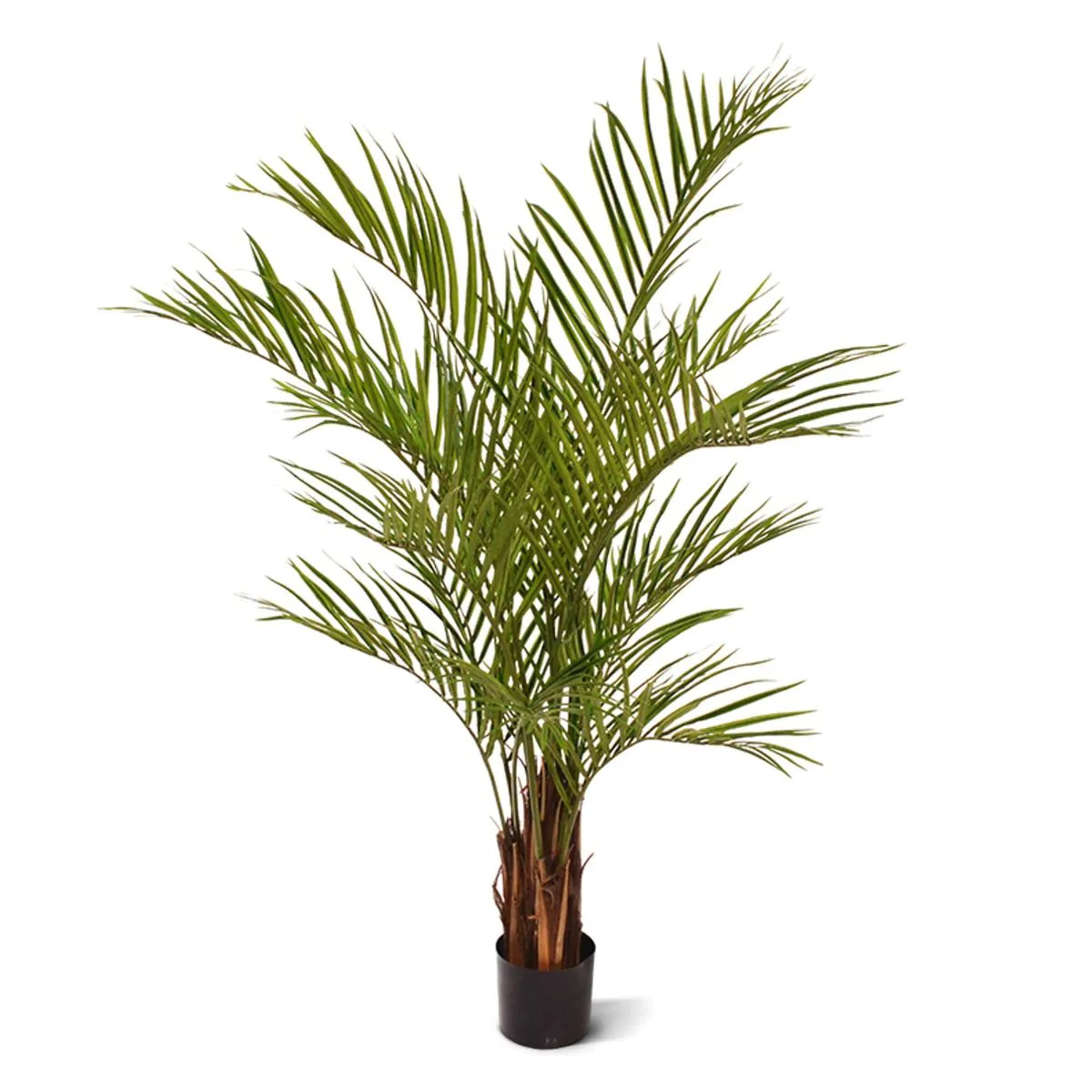 Umělá palma Areca Deluxe (150cm) – Obchodiště.cz