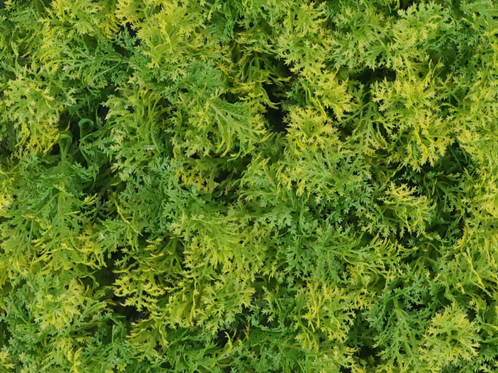 Panel umělý Boss Moss Yellow (50x50cm) – Obchodiště.cz