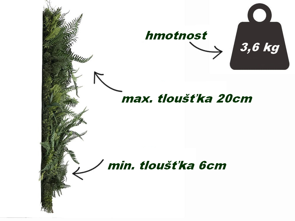 Panel Wall Fern Long (100x100cm) – Obchodiště.cz