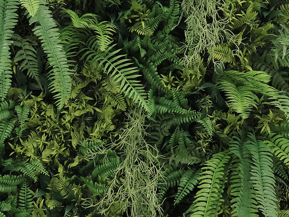 Panel Wall Fern Long (100x100cm) – Obchodiště.cz